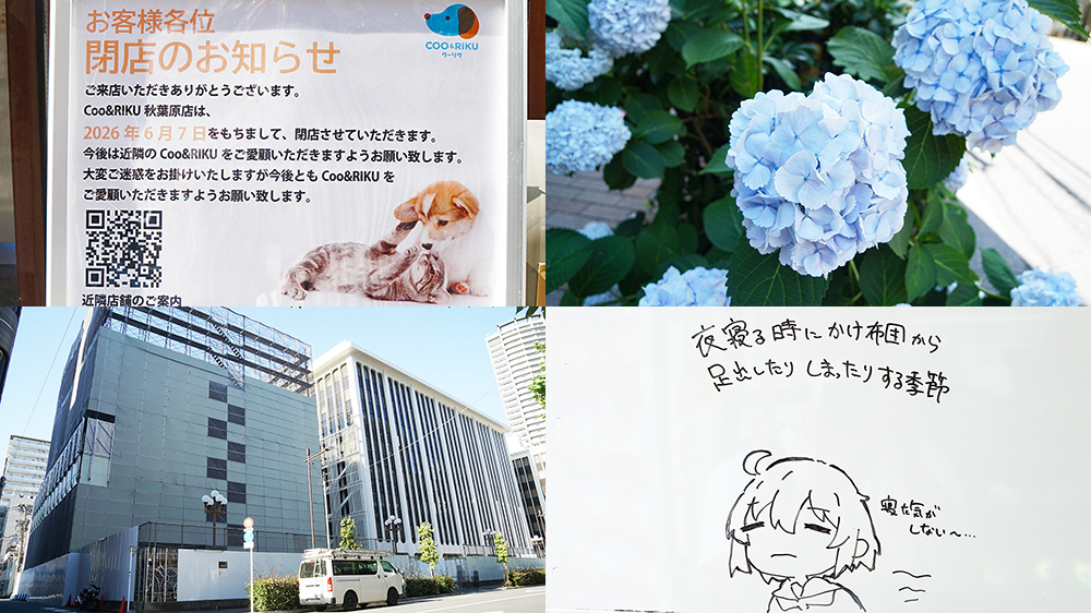 ペットショップCoo&RIKU 秋葉原店が閉店、秋葉原で紫陽花がまもなく見ごろ、TOPPANグループが入居するビル10棟の解体工事スタートなど ...
